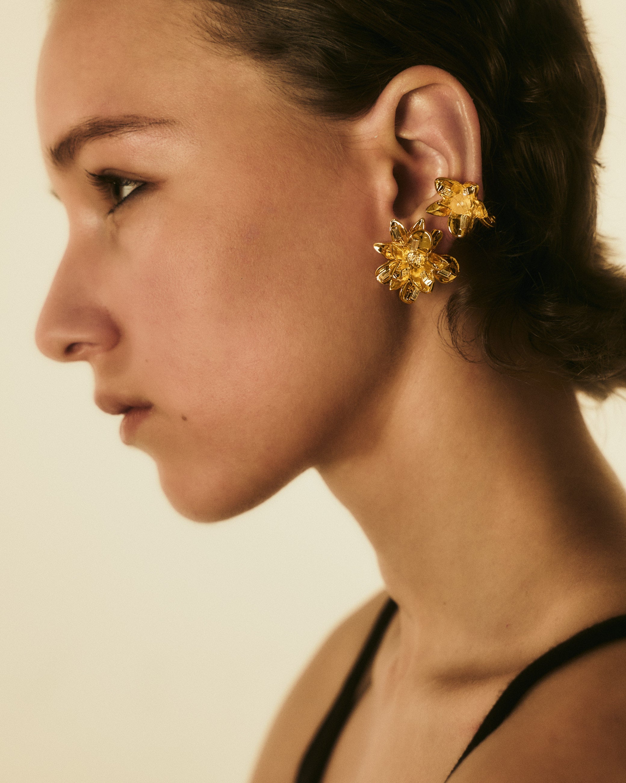 sunset opportunity – iris47