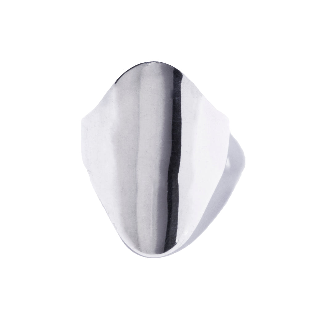 scale ring SS – iris47